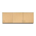 Exam Room Cabinets - Paragon Medical