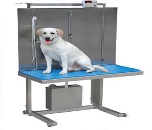 VETERINARY TABLES & TUBS - Paragon Medical